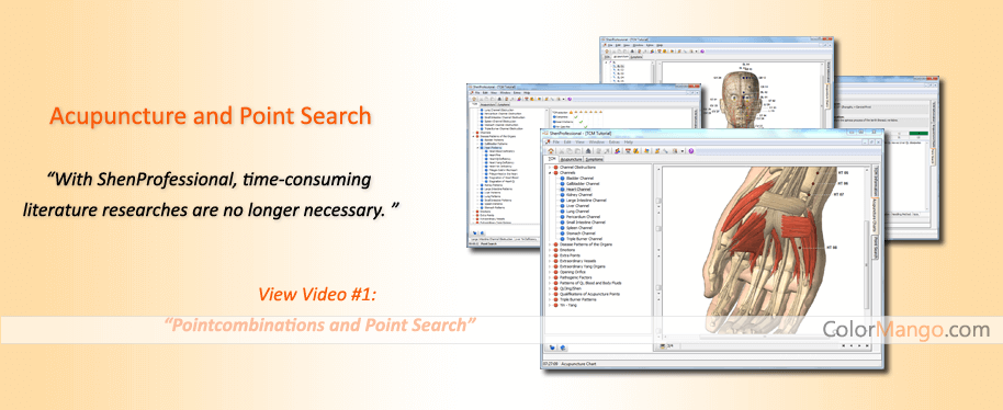 ShenProfessional 30% Off Coupon