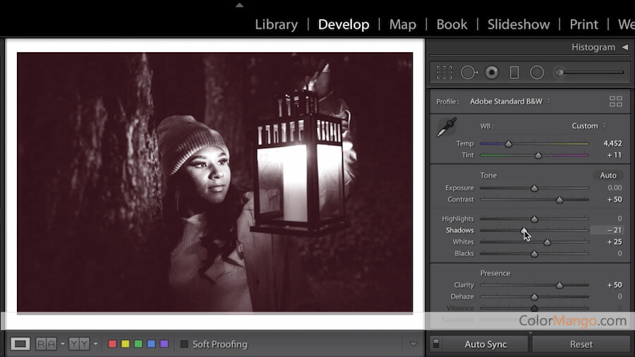 Adobe Lightroom Online Shopping, Price