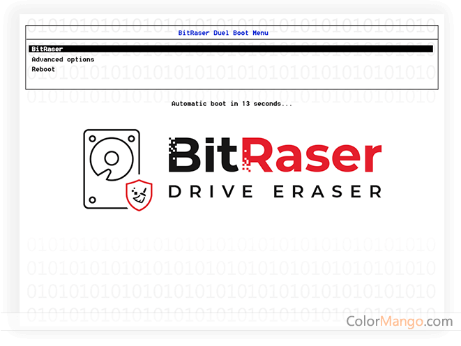 BitRaser Drive Eraser Online Shopping, Price