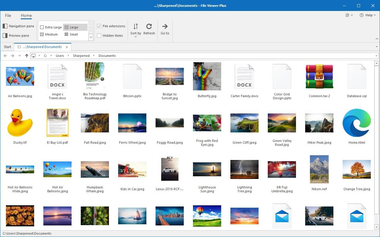 File Viewer Plus 20% Off Coupon